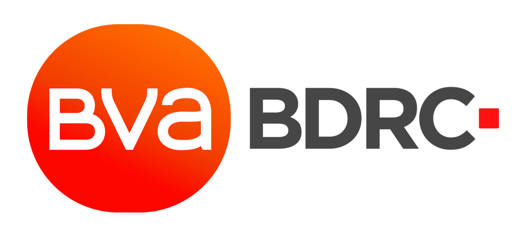 Case Study: Helping BVA BDRC generate editable dashboard exports - E-Tabs